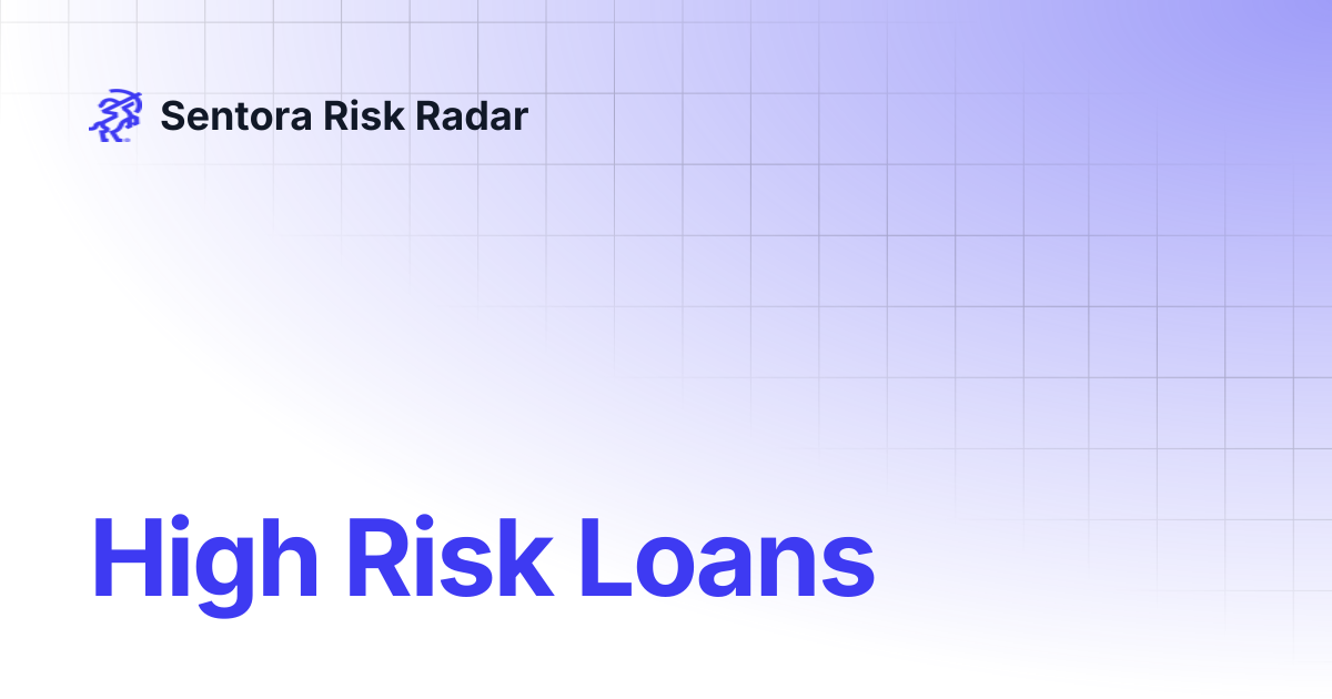 High Risk Loans | Sentora Risk Radar