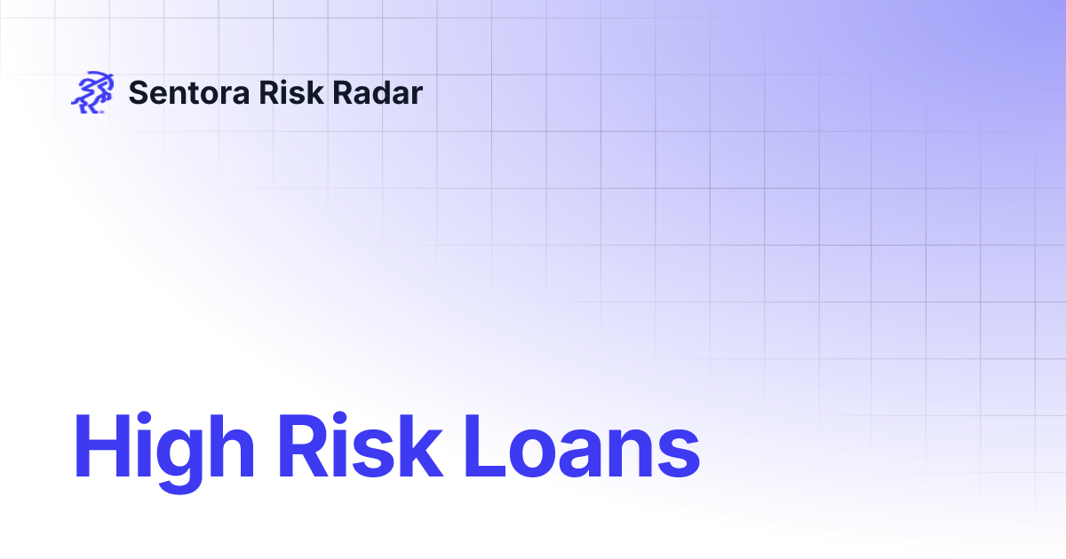 High Risk Loans | Sentora Risk Radar